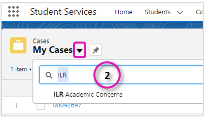 Case Management Overview